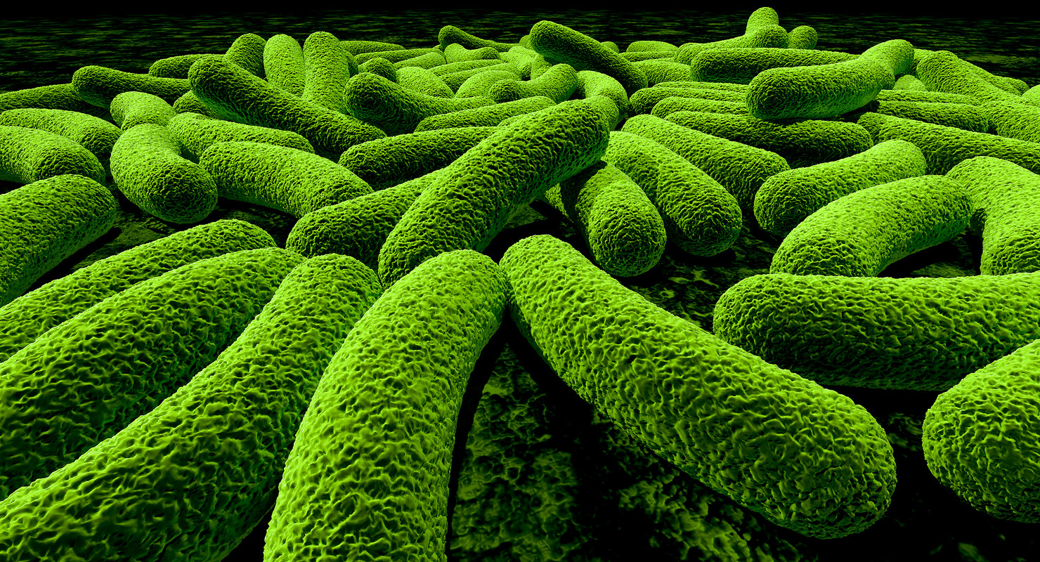 bacteria 3d max