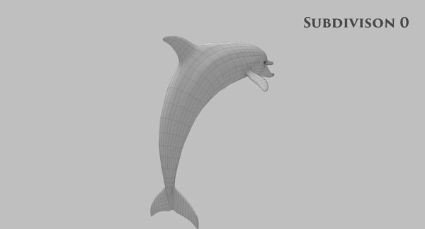 common bottlenose dolphin tursiops c4d