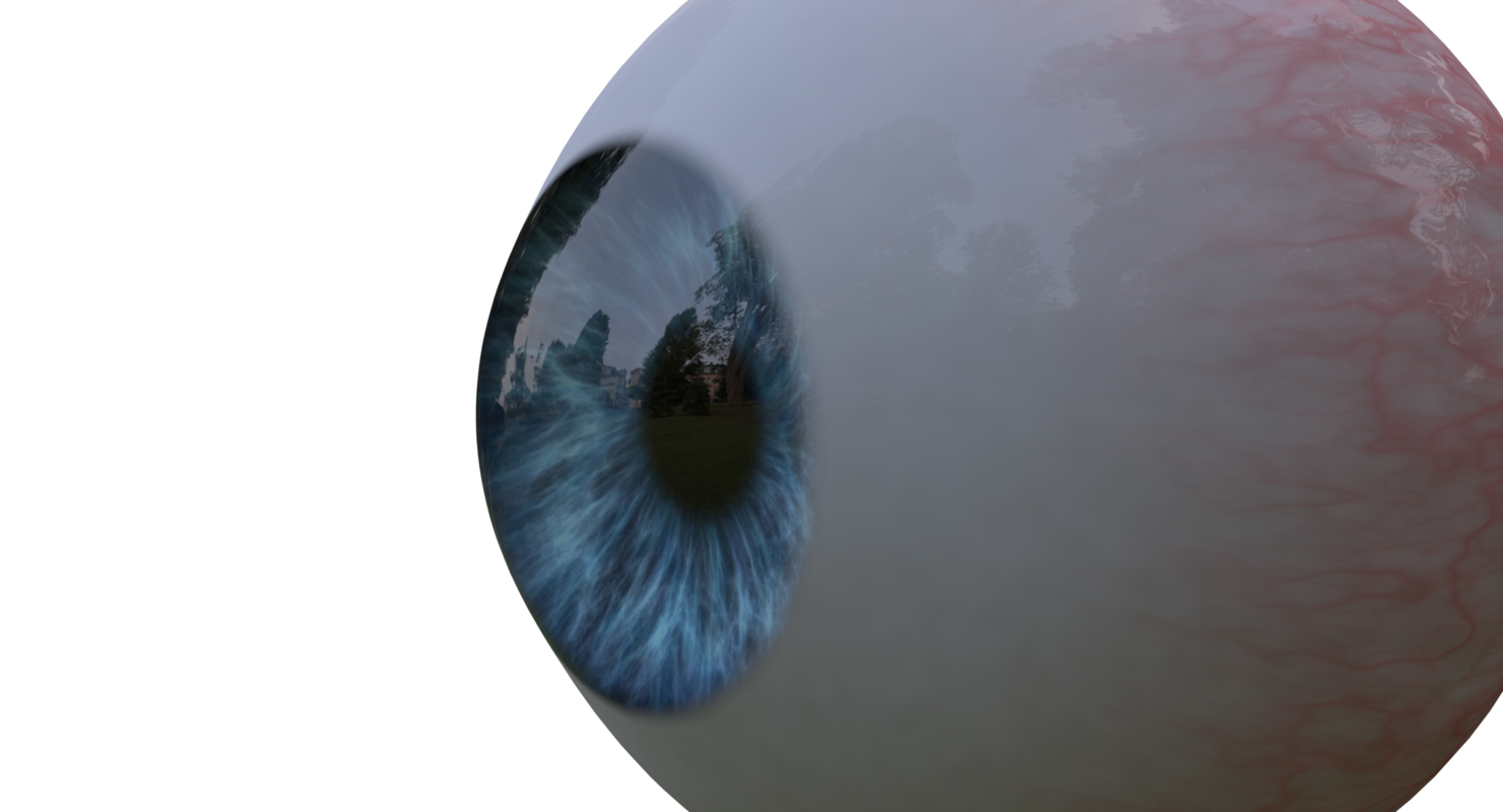 realistic human eye 3d model