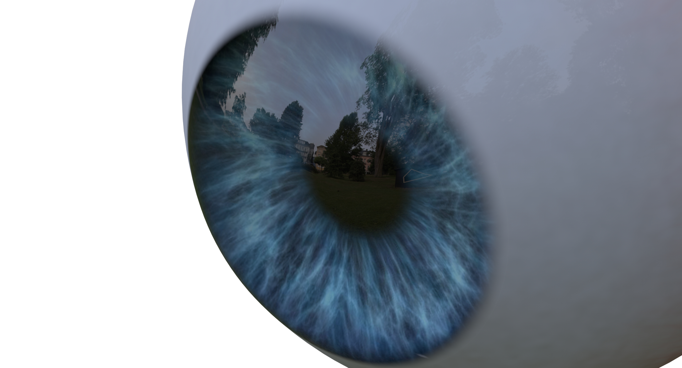 realistic human eye 3d model