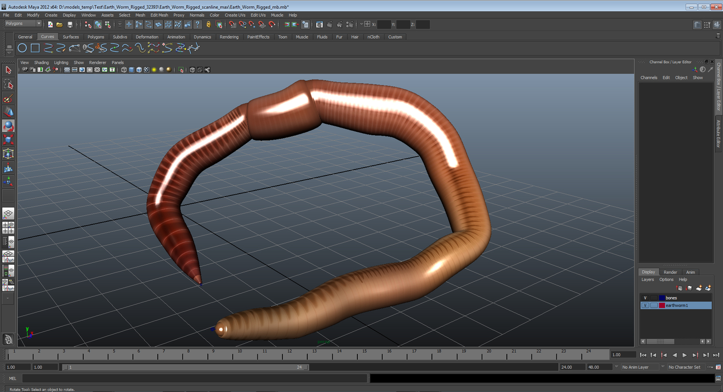 earth worm rigged 3d ma
