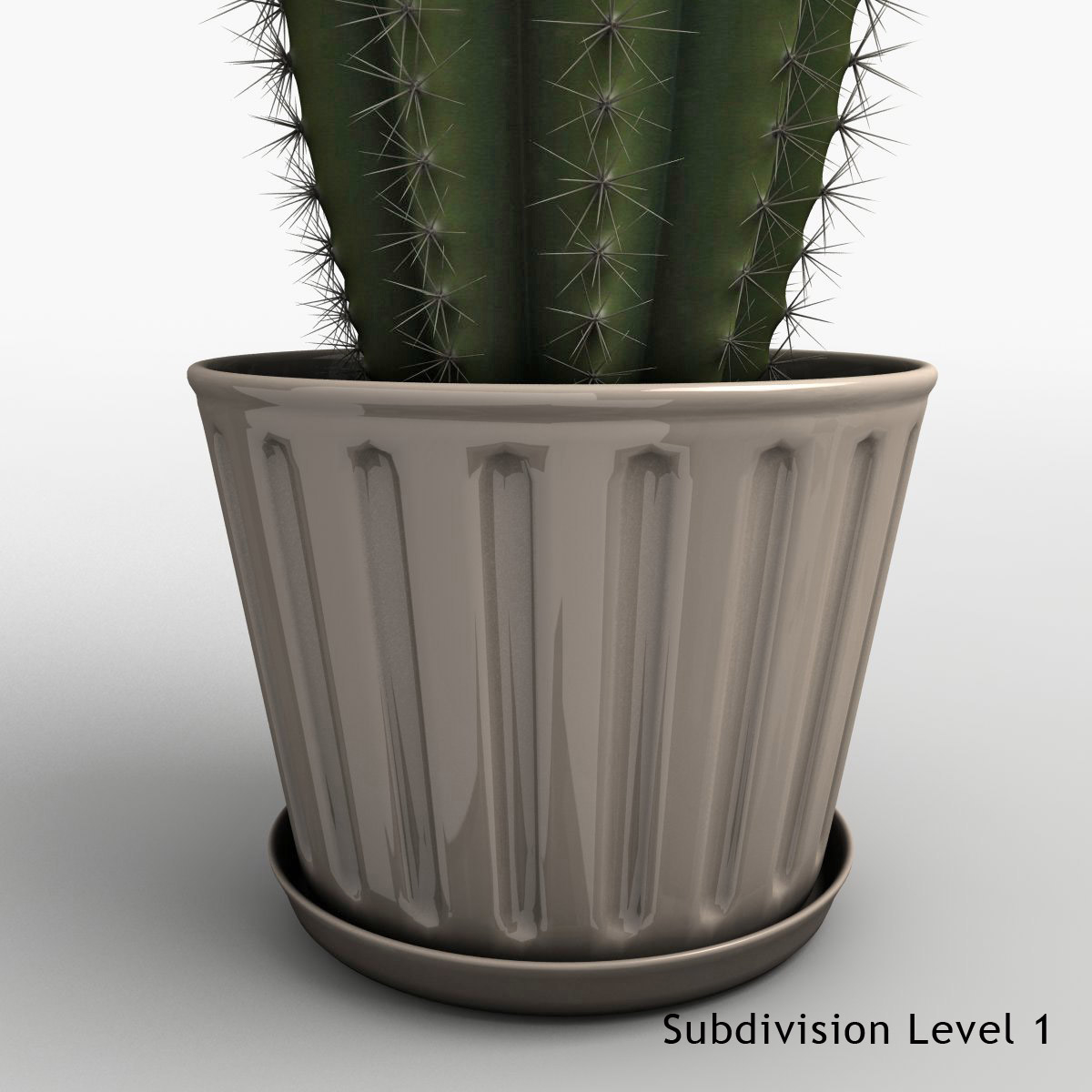 flowering cactus 3d model