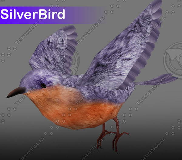 3D Bird Texture Maps, 3D bird Animation, 3D Tree Files at TurboSquid