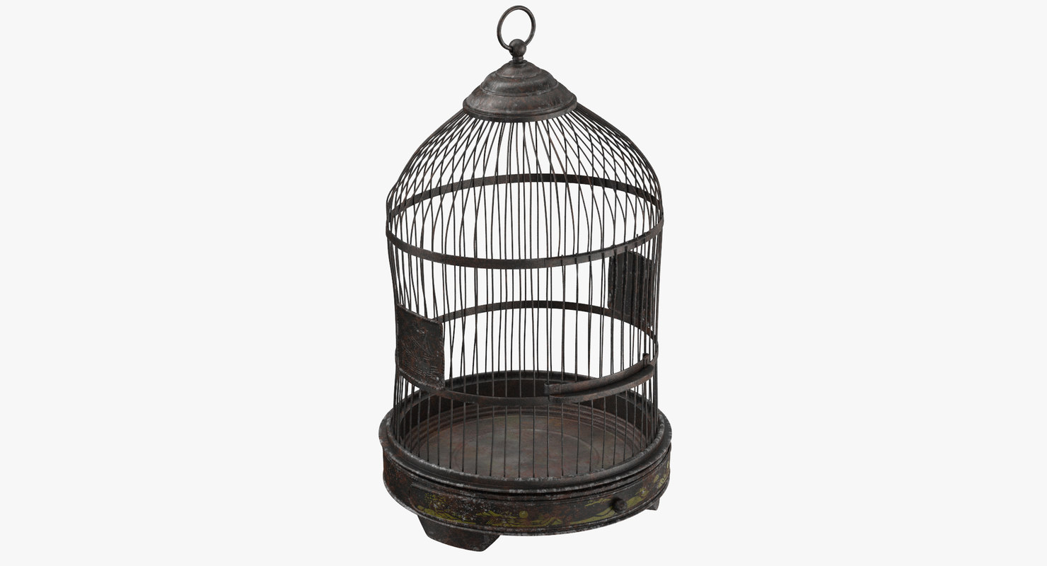 old bird cage max