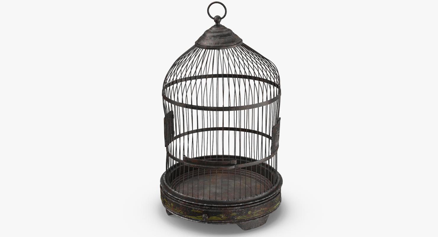 old bird cage max