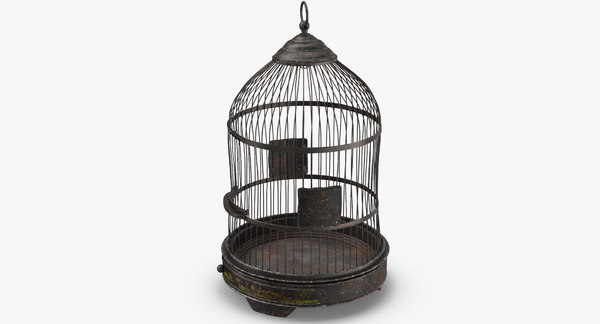 old bird cage max