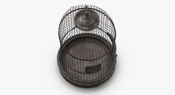 old bird cage max