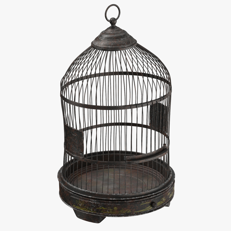 old bird cage max