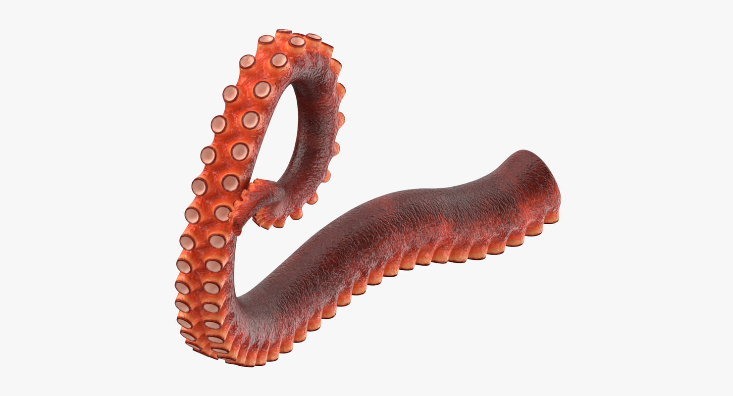 octopus tentacle 03 3d max
