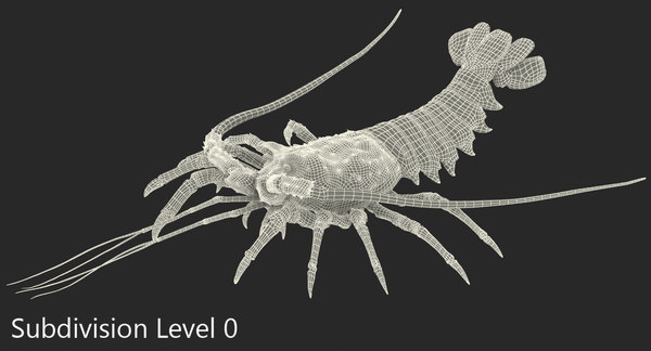 3d rock lobster model