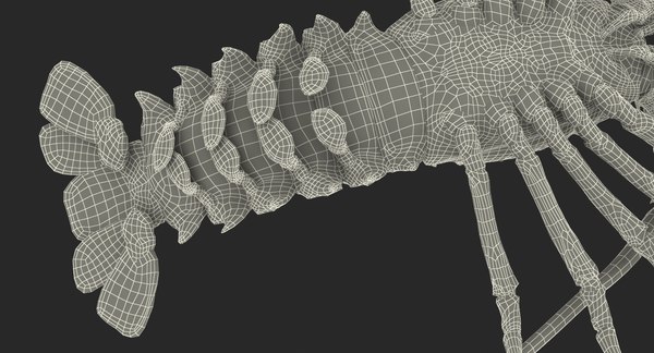3d rock lobster model