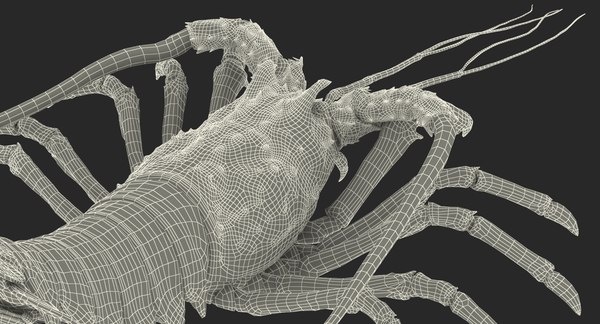 3d rock lobster model