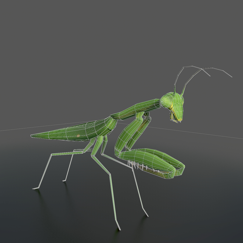 realistic mantis praying max