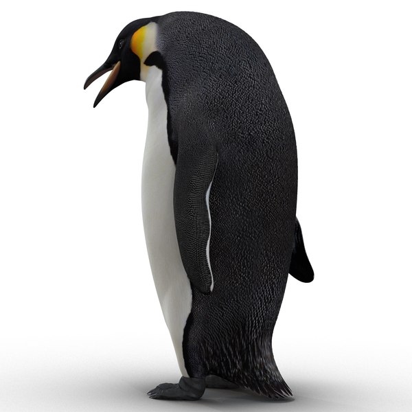 emperor penguin rigged 3d model