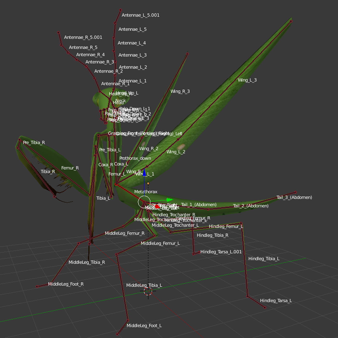 3d realistic mantis rig animation model