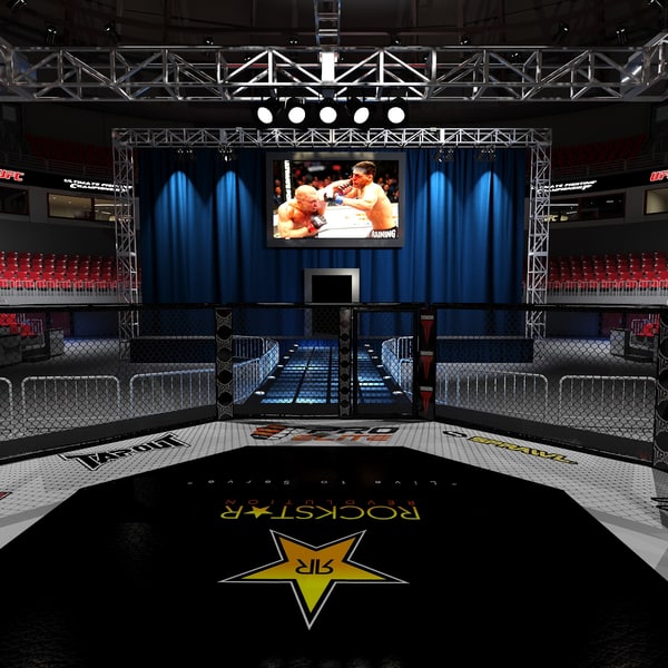 ufc fighting arena max