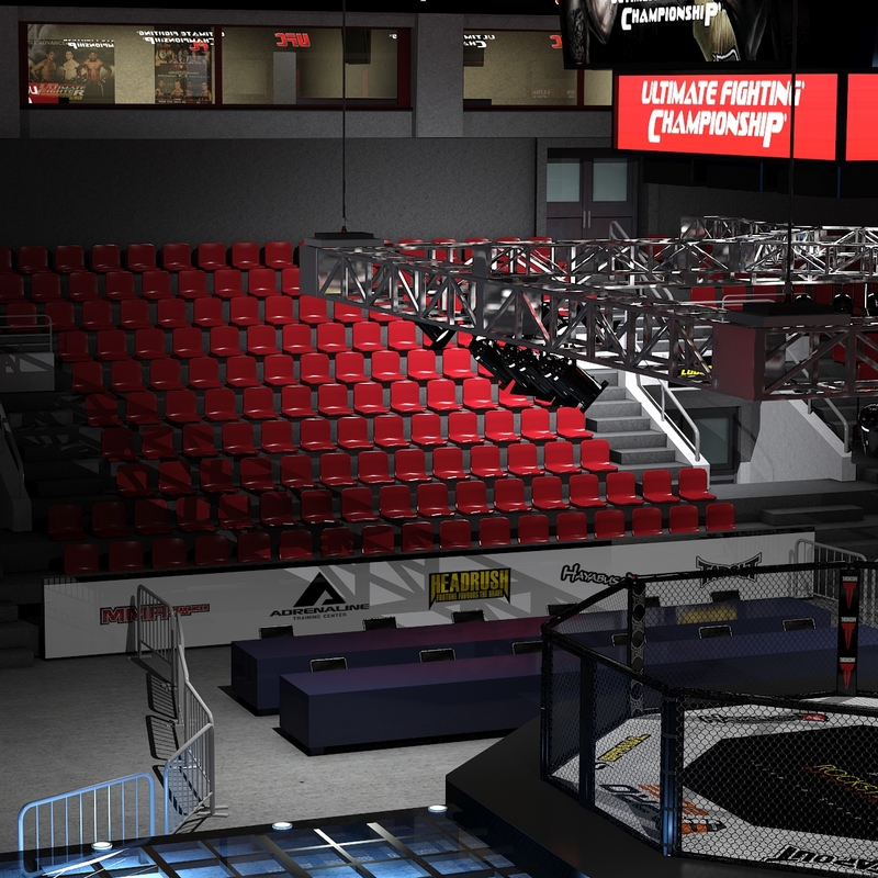 ufc fighting arena max