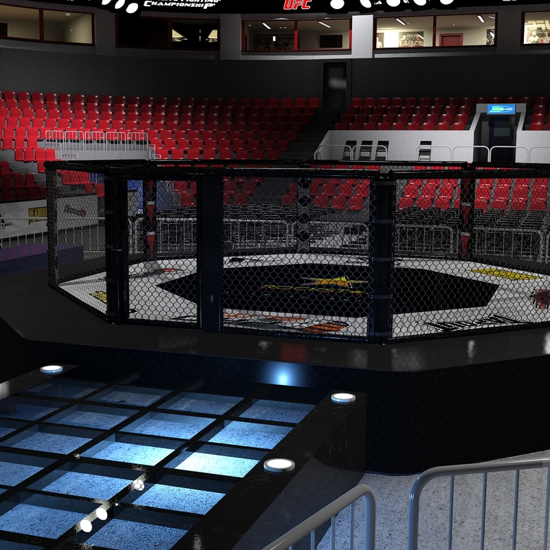ufc fighting arena max