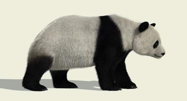 giant panda bear fur obj