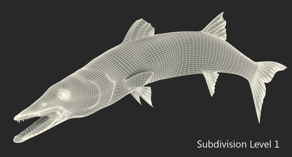 barracuda fish pose 2 3d model