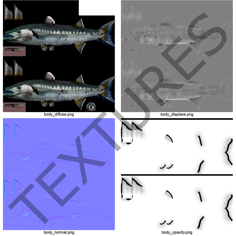 barracuda fish pose 2 3d model