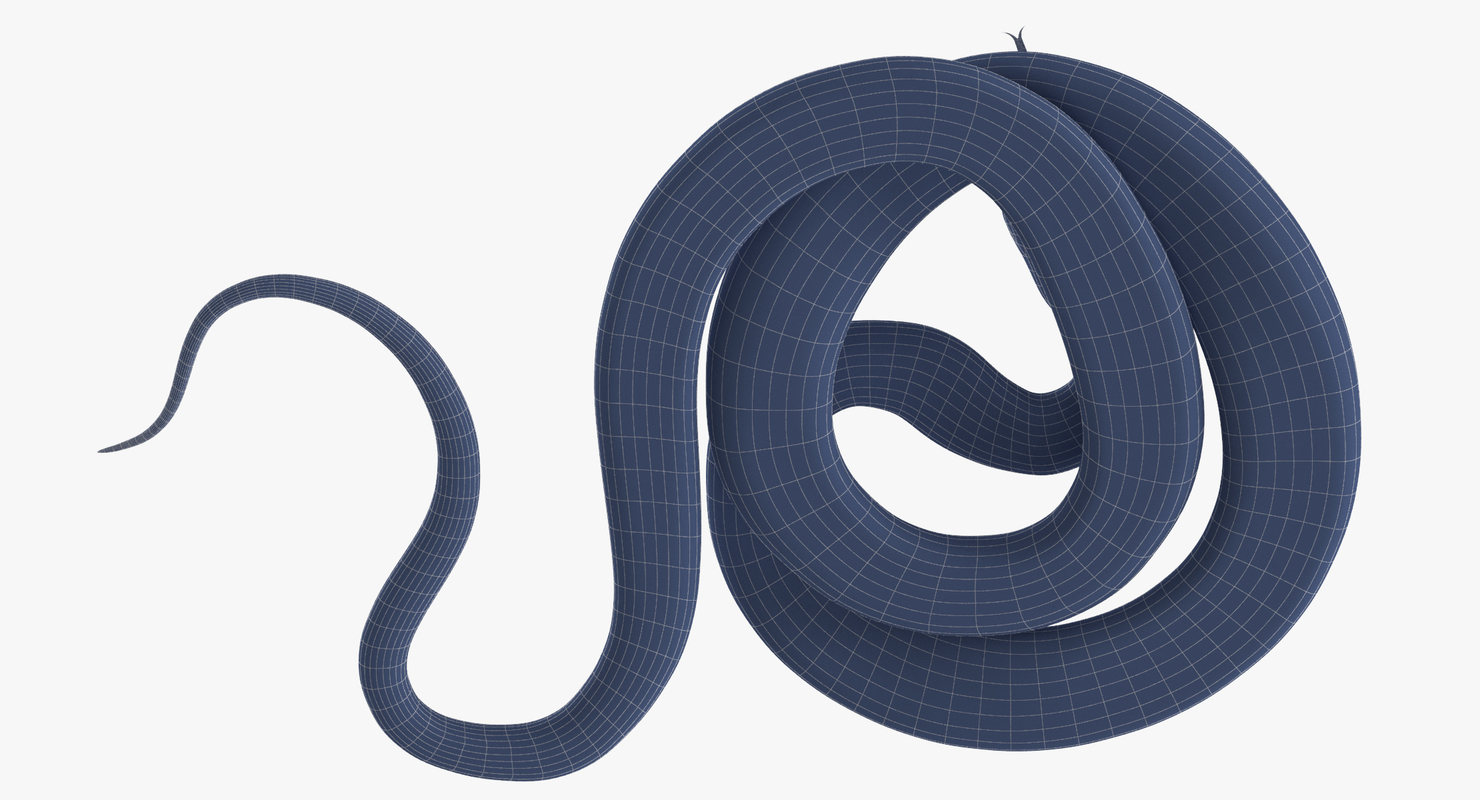 3d black snake 02 model