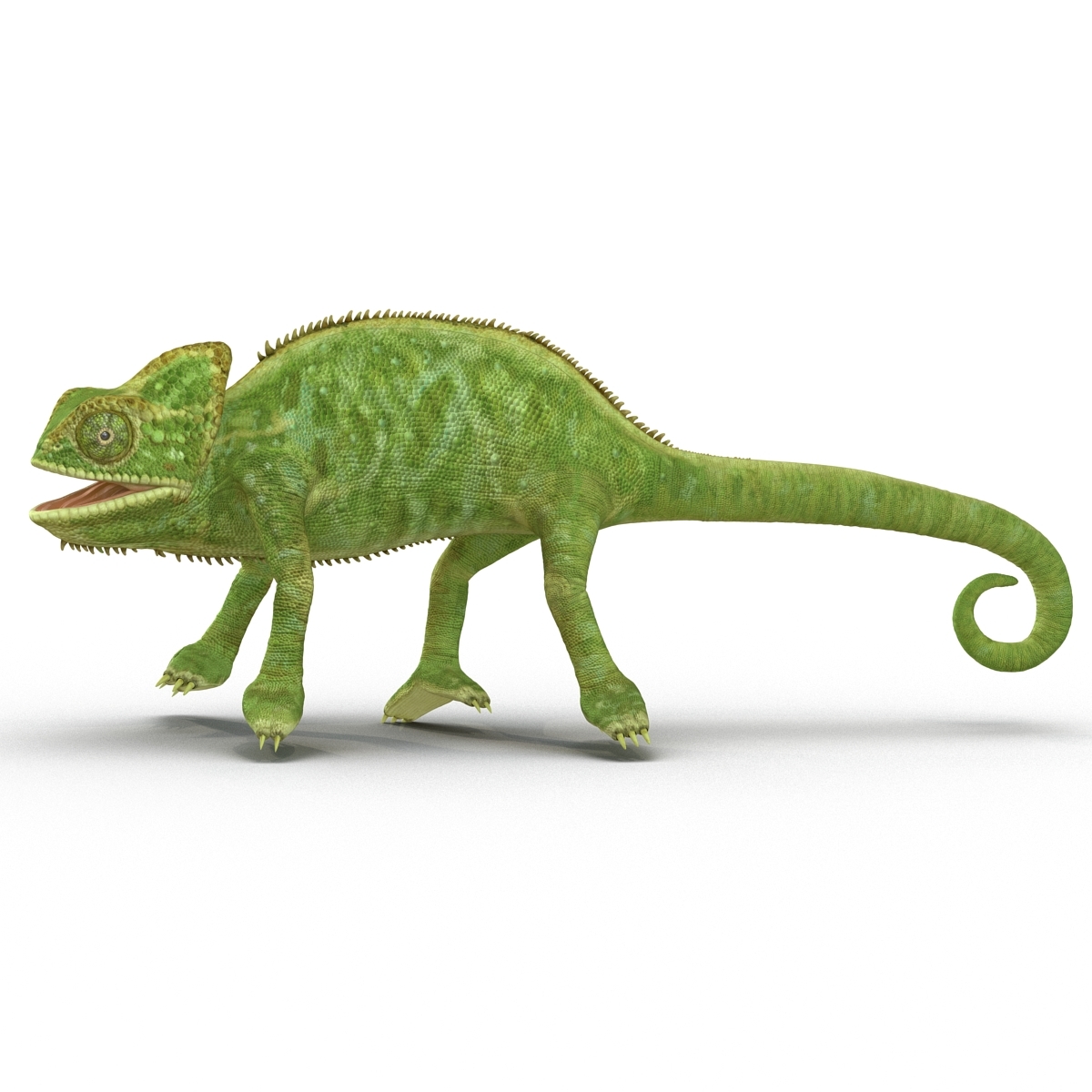 3d model chameleon rigged