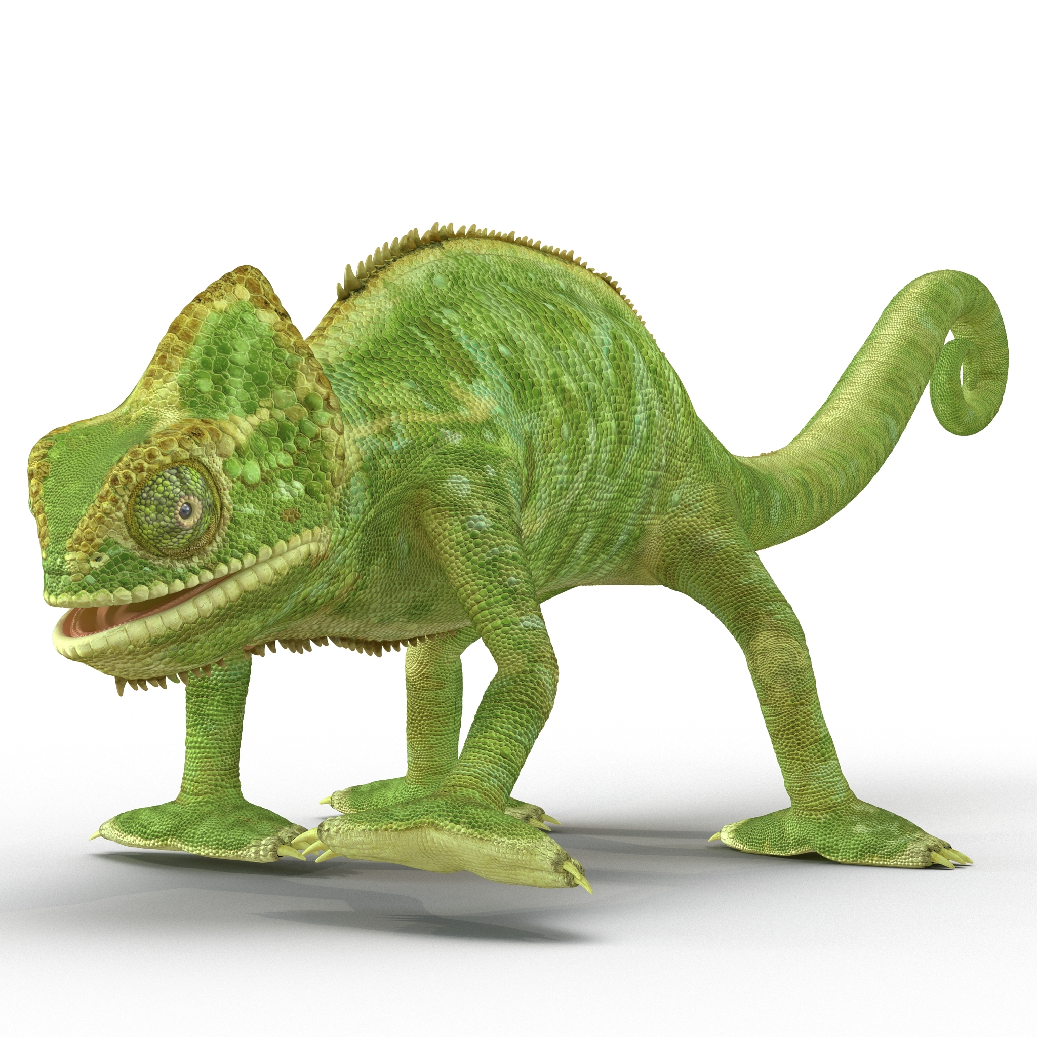 3d model chameleon rigged