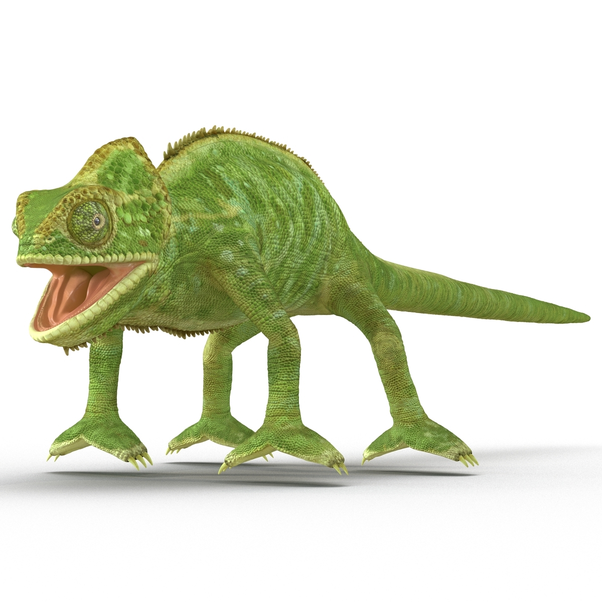 3d model chameleon rigged