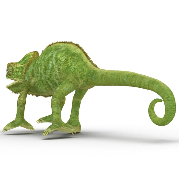 3d model chameleon rigged