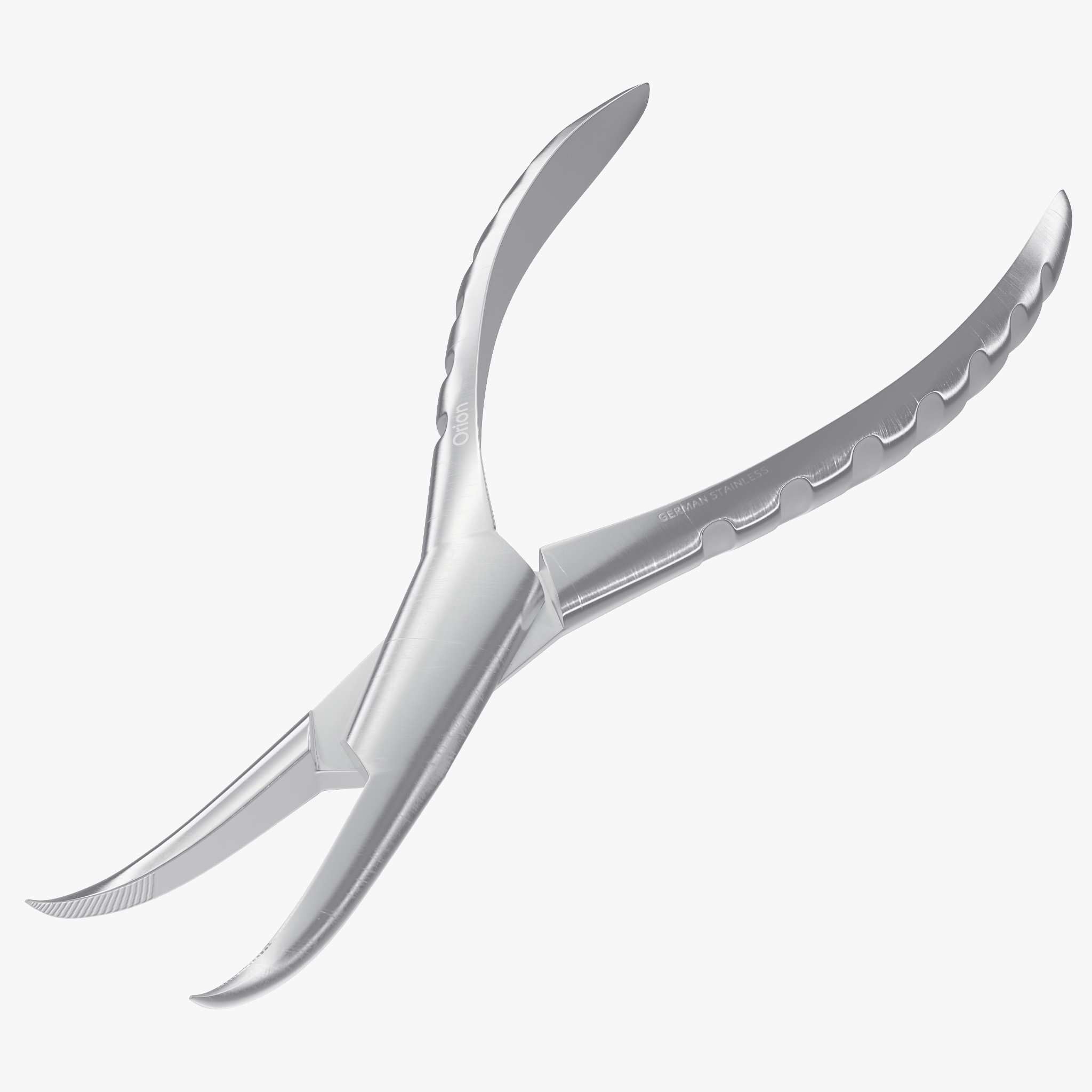 extracting forcep 3d model