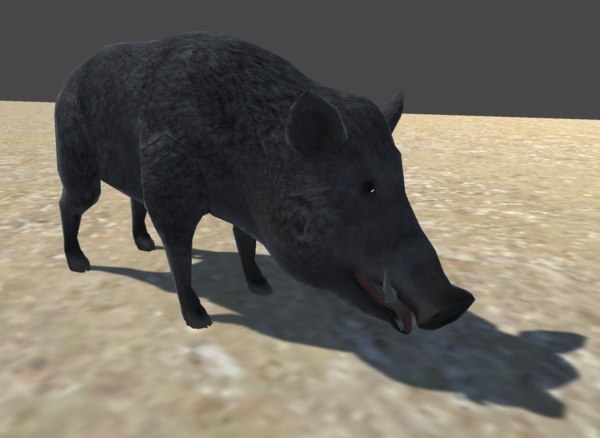 Boar 3D Models for Download | TurboSquid