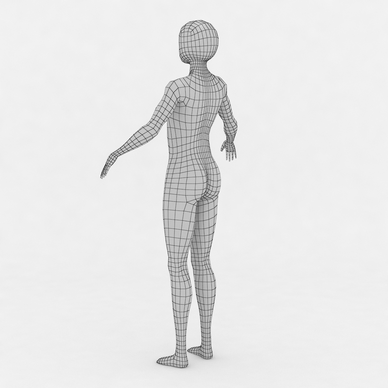 3d female body base mesh model