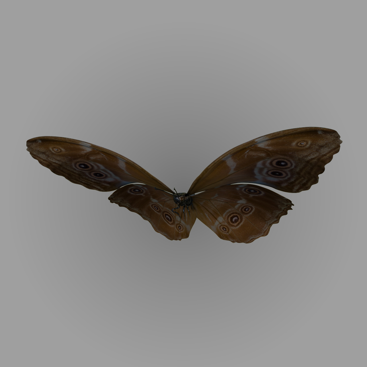 3d animation modelled