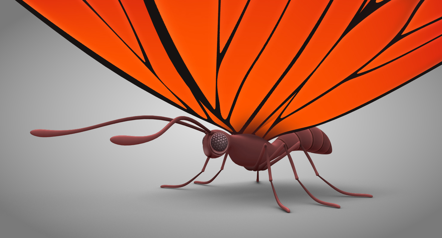 beautiful butterfly cartoon 3d max