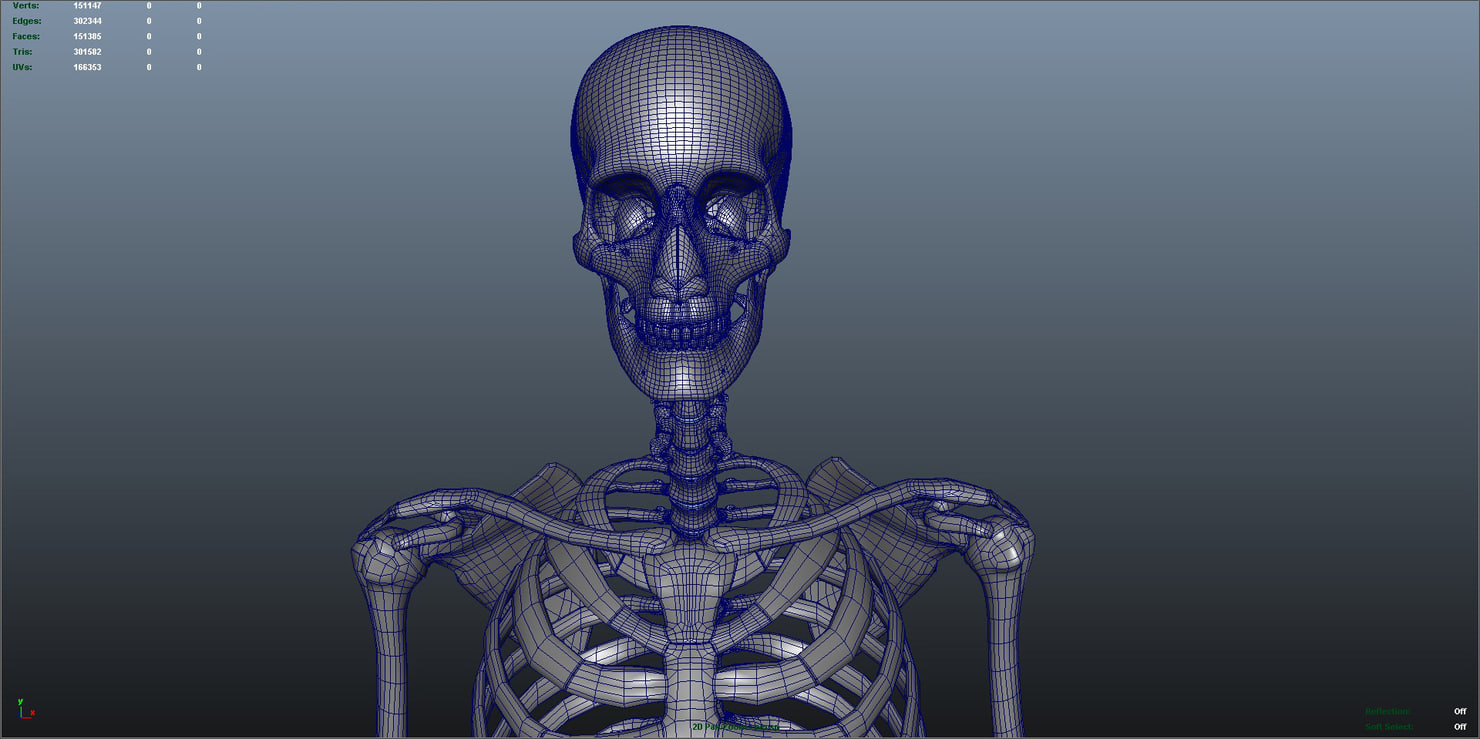 3d human skeleton model