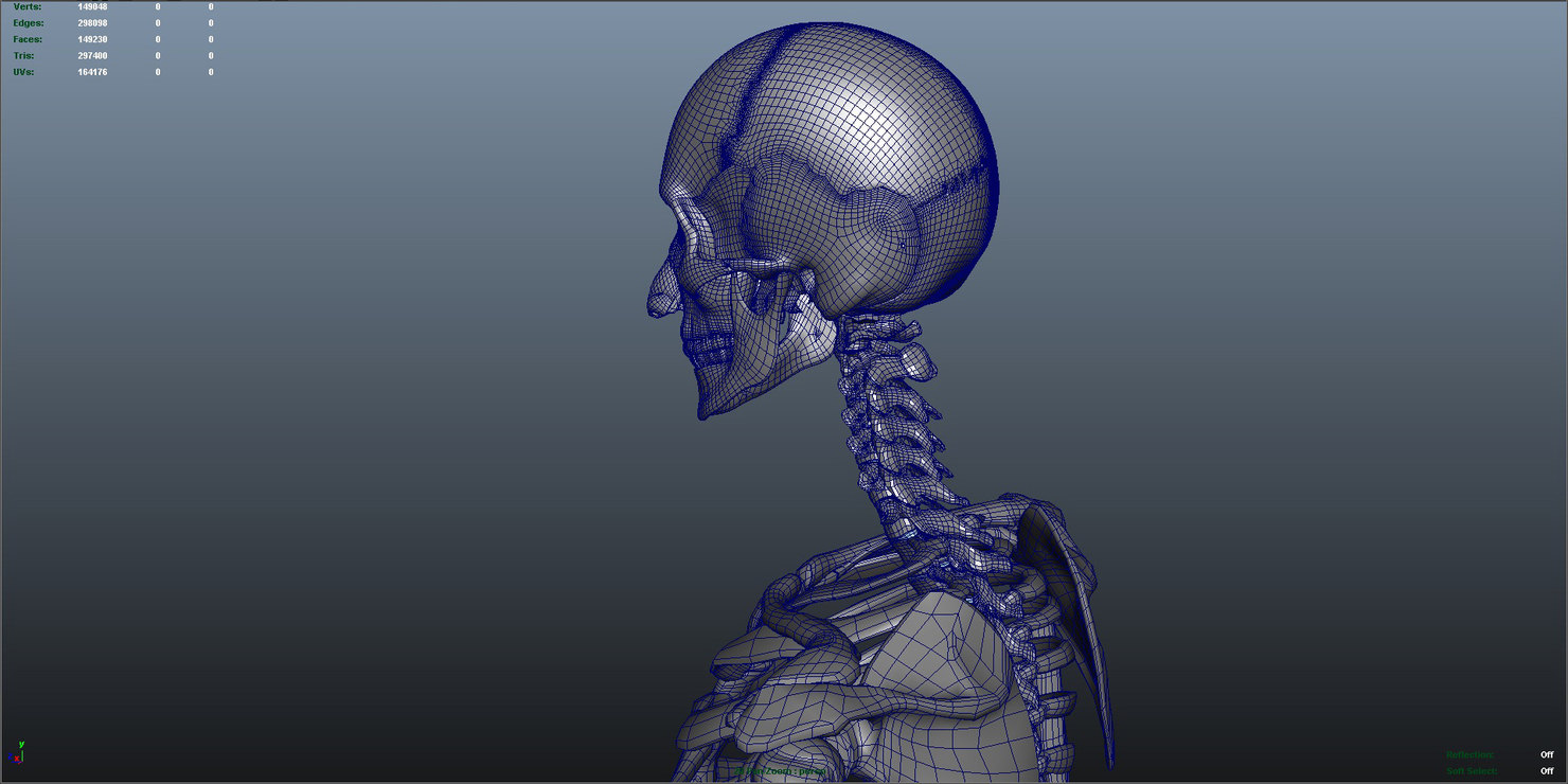 3d human skeleton model