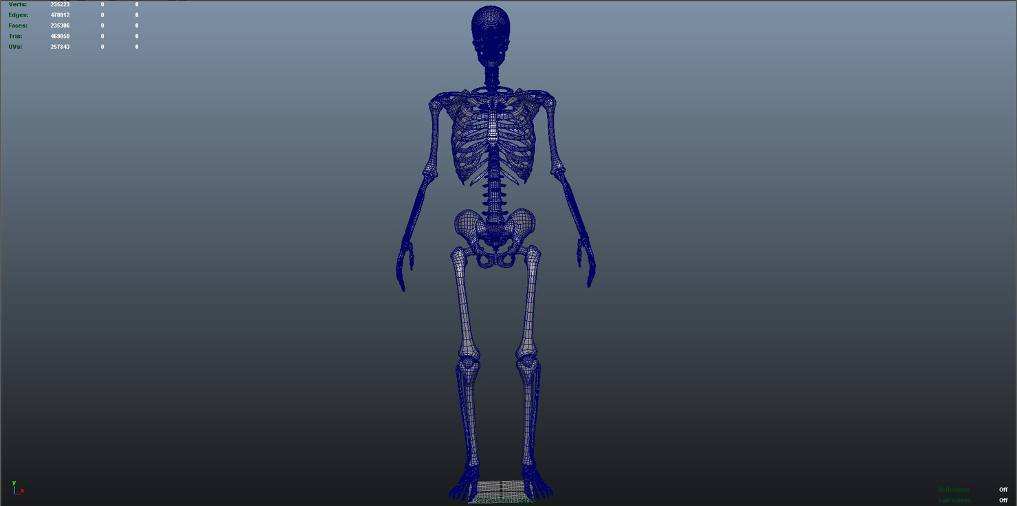 3d human skeleton model