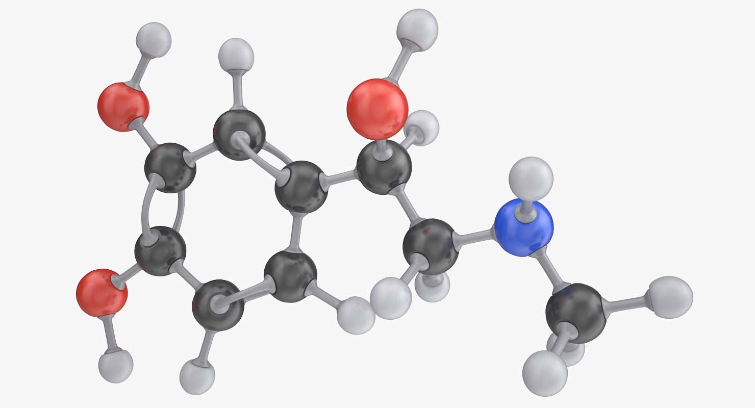 epinephrine molecule 3d model