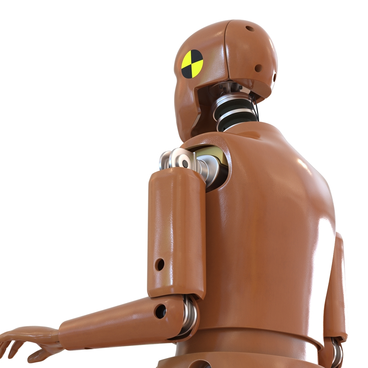 female crash test dummy 3d model
