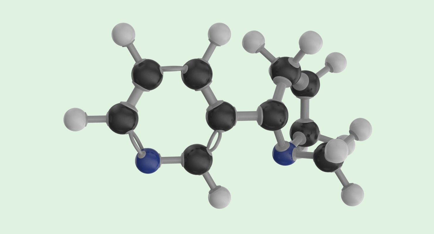 3d nicotine molecule model