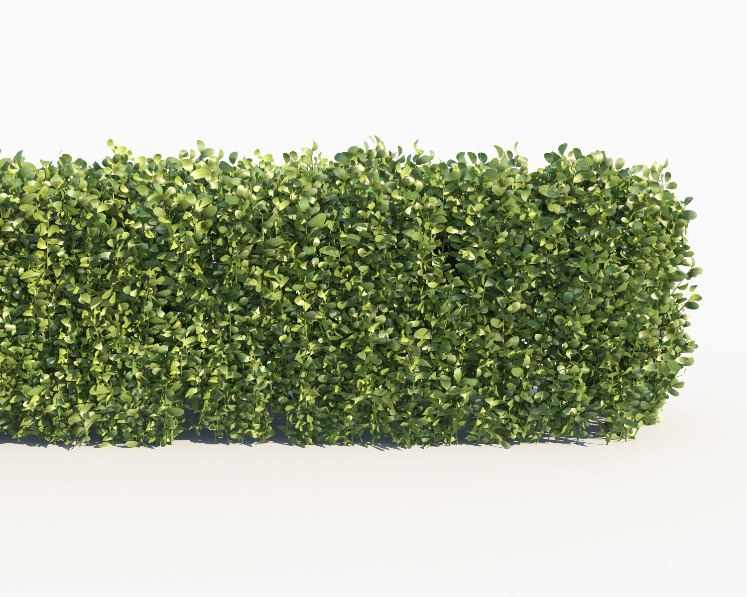 scatterable hedge 3d max