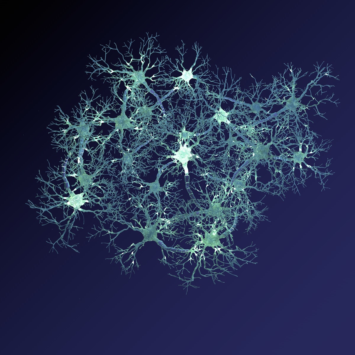 3d model neural network