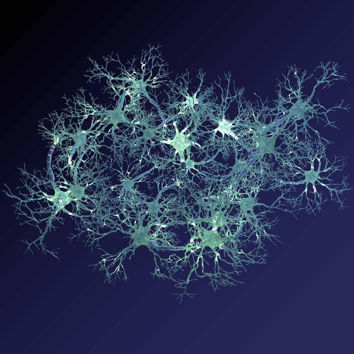 3d model neural network