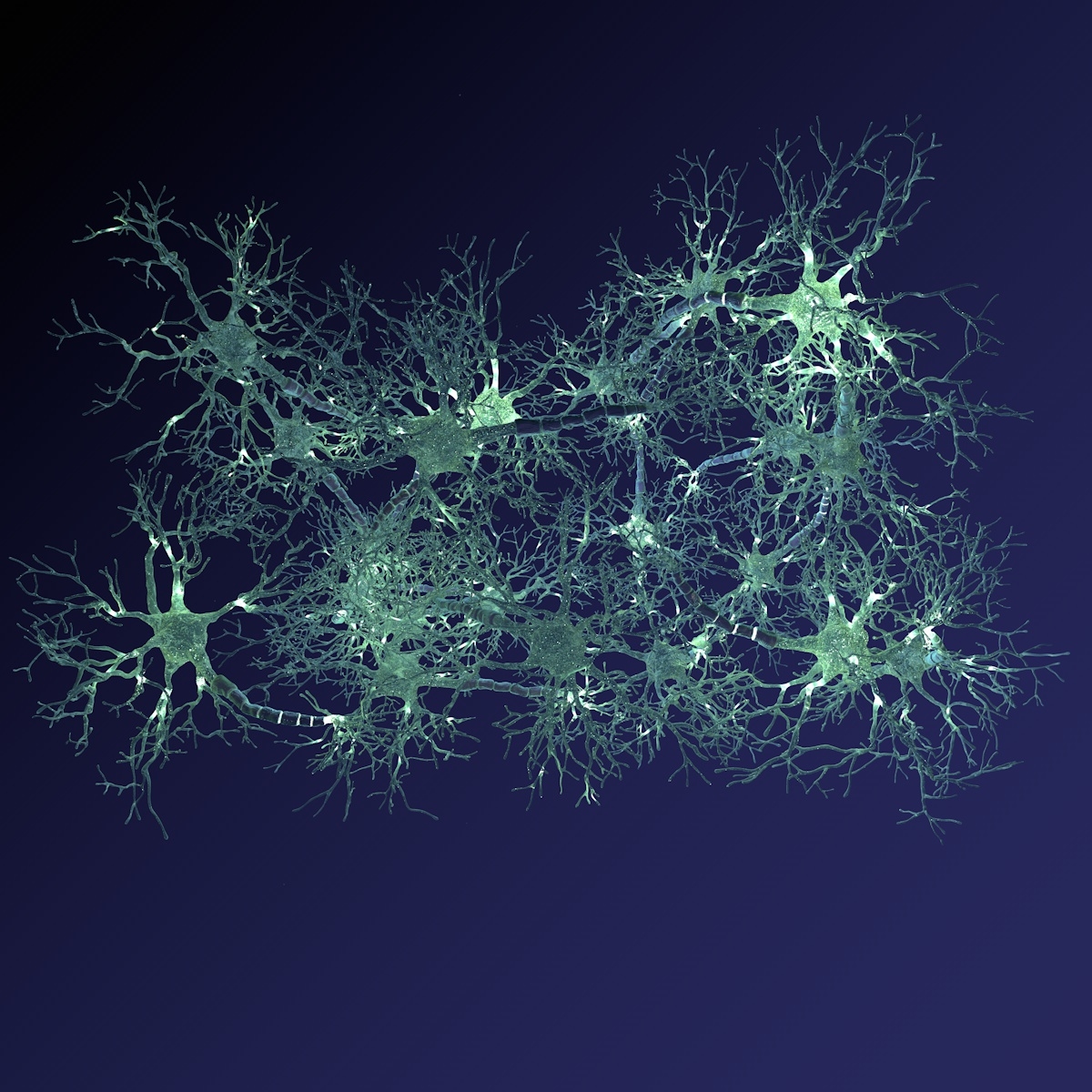 3d model neural network