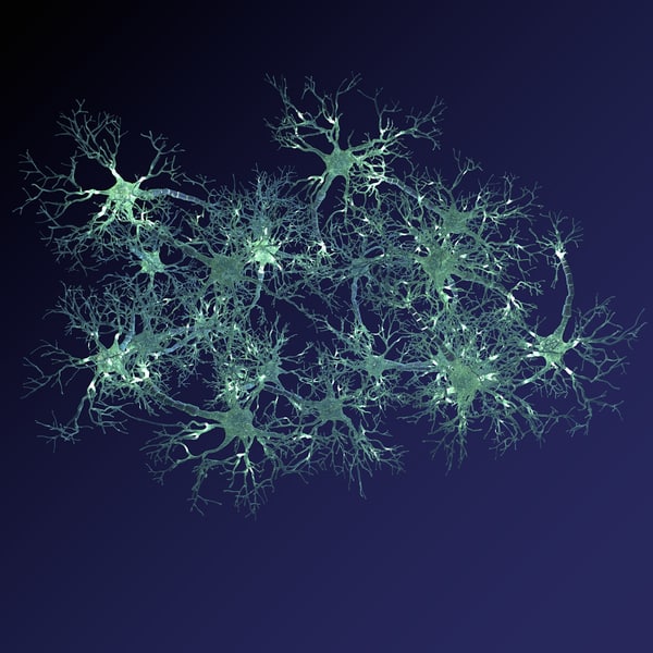 3d model neural network