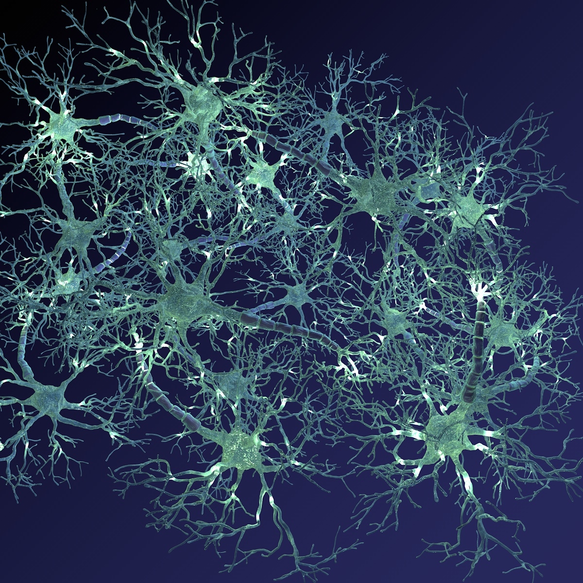 3d model neural network