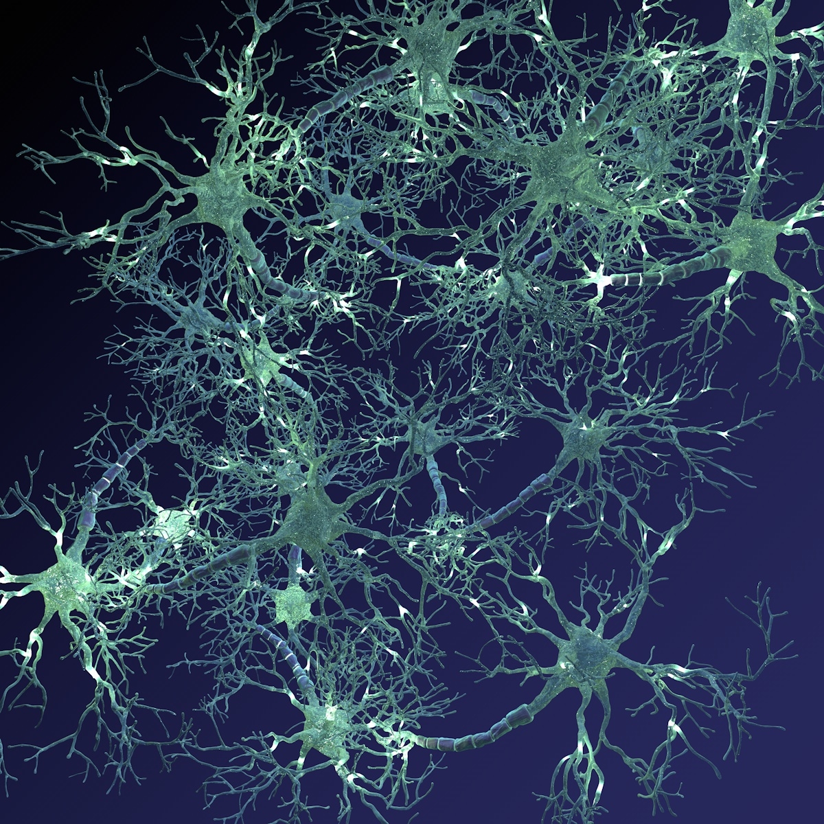 3d model neural network