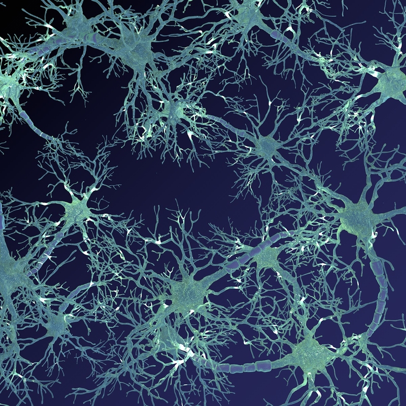 3d model neural network