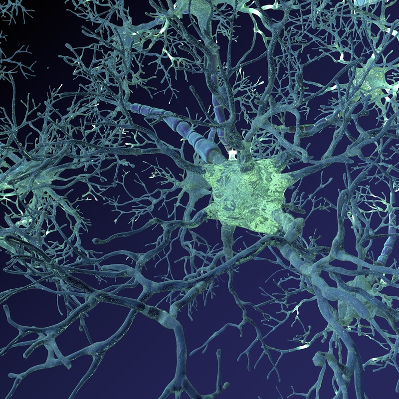 3d model neural network